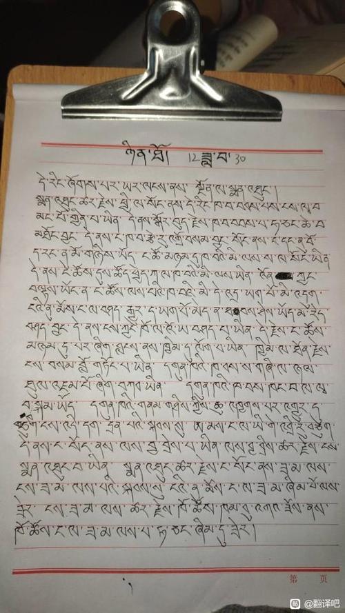 藏文拍照翻译图标