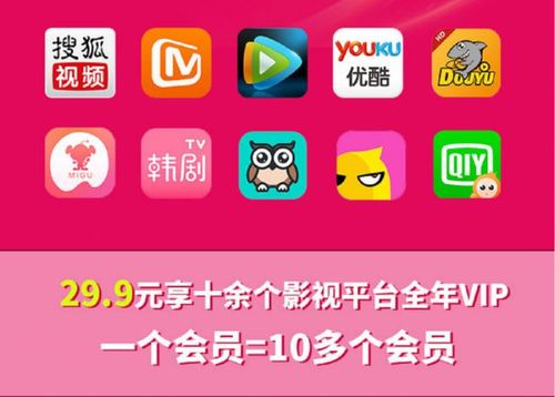 影视剧vip会员图标