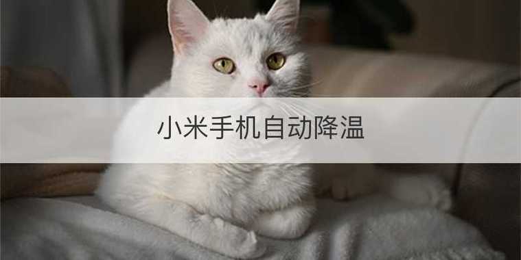 小米手机一键降温