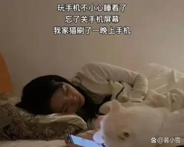 晚上如何偷偷玩手机图标