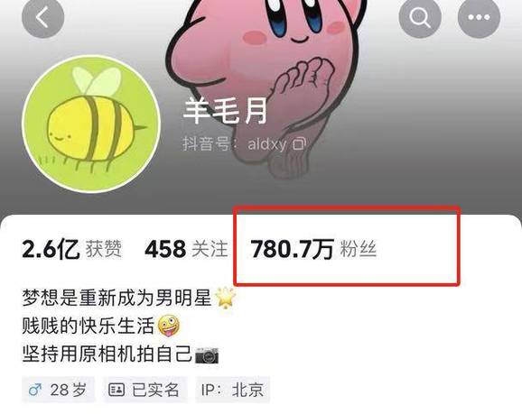 羊毛月是谁图标
