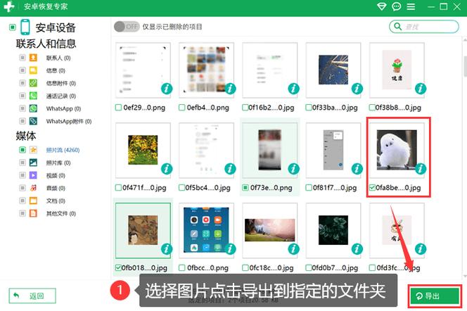 照片备份图标