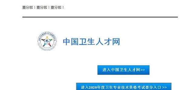 中国卫生人才网考试成绩查询入口图标