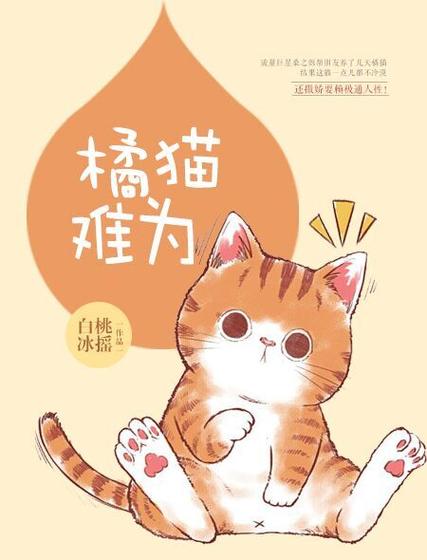 橘猫小说图标