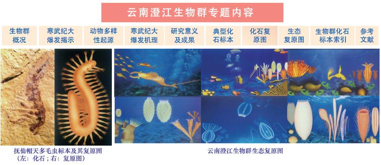 国家岩矿化石标本资源共享平台截图