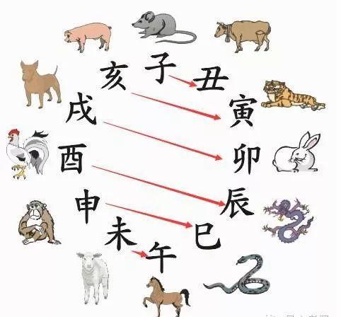 属相相害会克死人吗截图