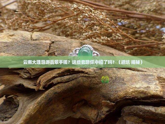 北京导游带翡翠店靠谱吗截图