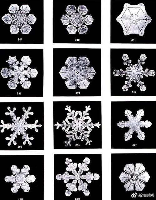 雪花内核免费下载图标