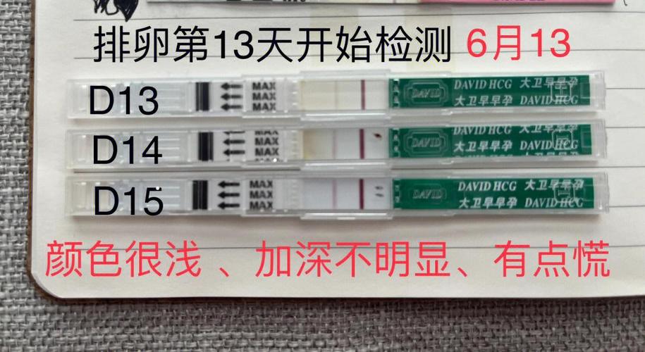 用大卫早孕试纸最早几天可以测出来截图