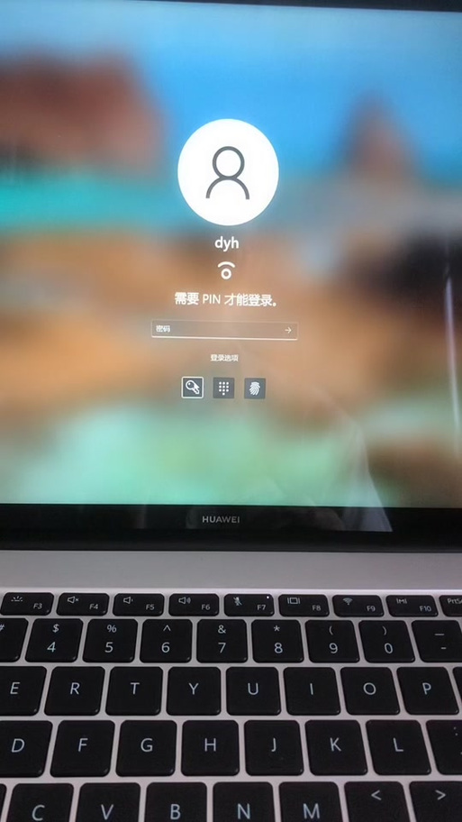 荣耀电脑设置不了指纹图标