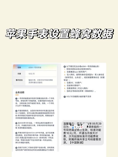 苹果手表怎么关闭蜂窝网络图标