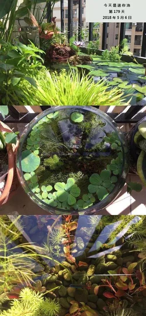 迷你世界做水池图标