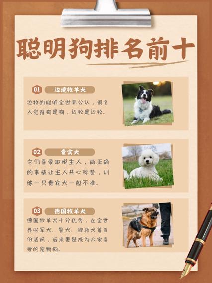 和宠物狗说话的软件推荐