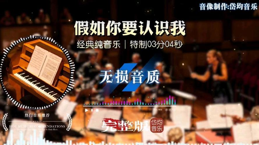 极品纯音乐100首完整版图标