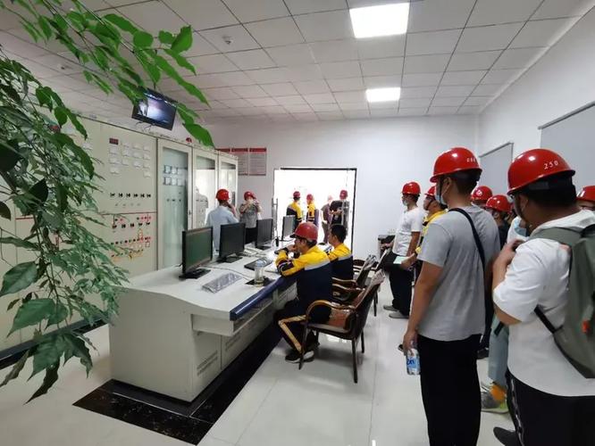 走进金牛截图