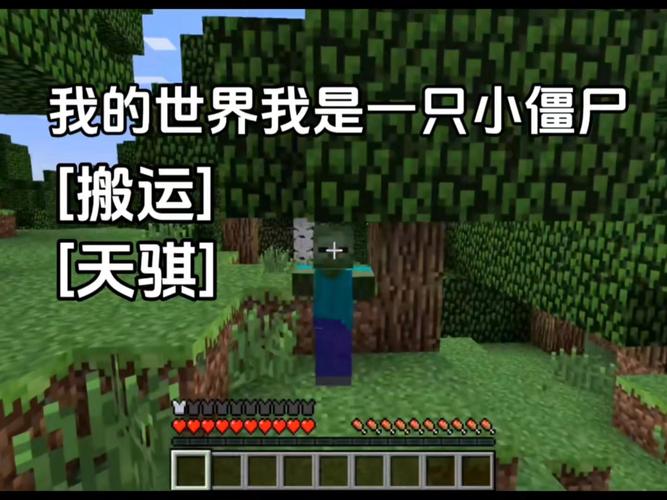 天骐解说我的世界我是一只小僵尸