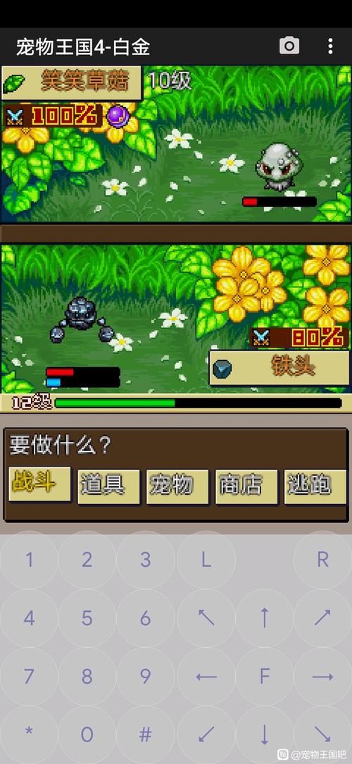 宠物王国4-白金截图