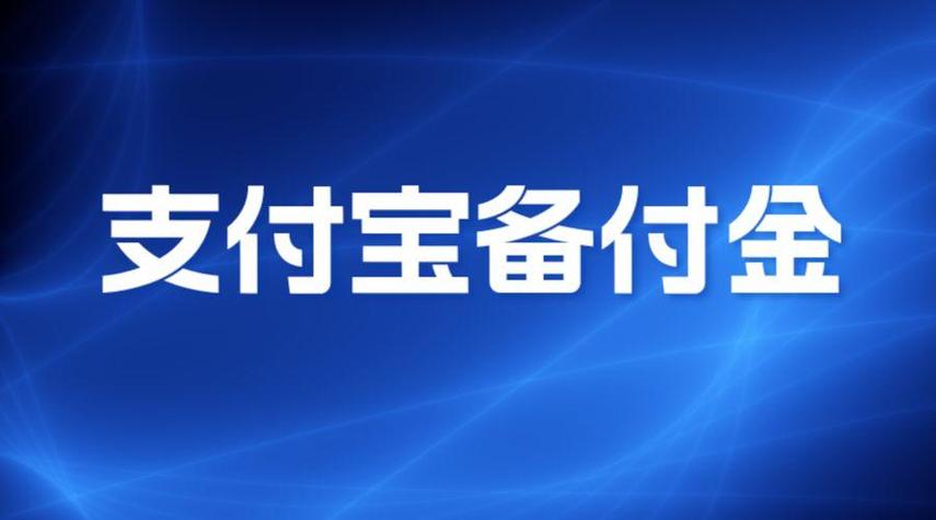 支付宝备付金账户在哪里图标