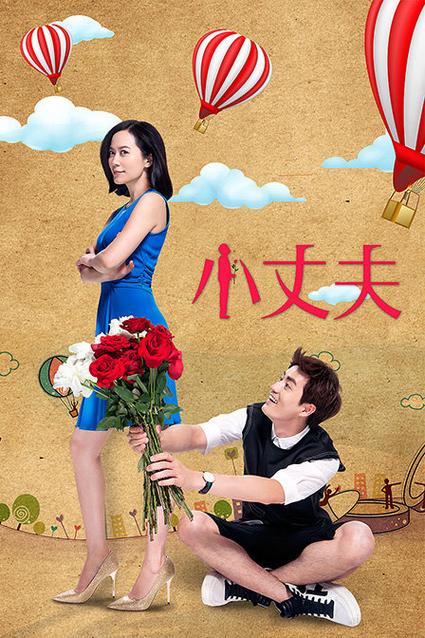 电视剧小丈夫下载