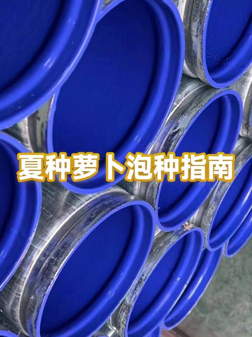 保卫萝卜1激活码十五位数字图标