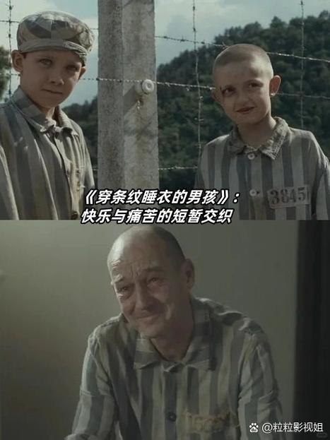 汤姆克兰西小说改编的电影图标