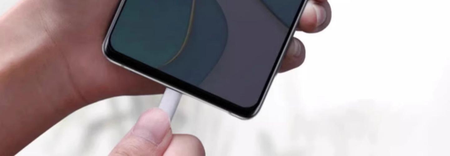 oneplus 65w充电器图标