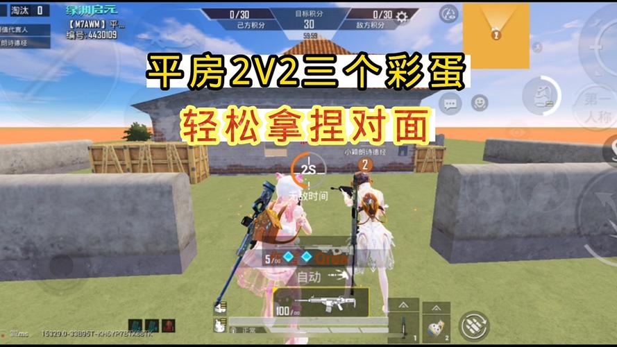 平房2v2的彩蛋密码图标
