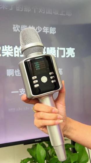 话筒能直接连音响吗截图