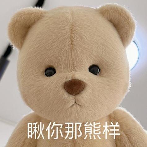 QQ小熊表情包图标