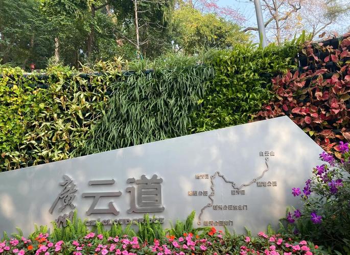 青云诀2官网入口图标