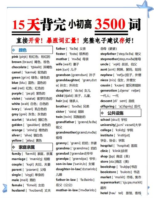 英语必背3500单词初中图标