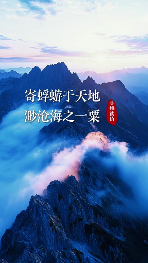 寄蜉蝣于天地 渺沧海之一粟截图