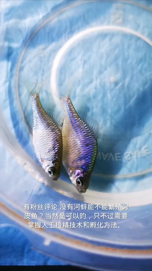鱼乐水族馆截图