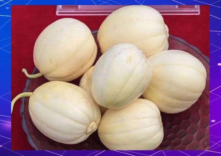 蜜瓜和香瓜的区别图标