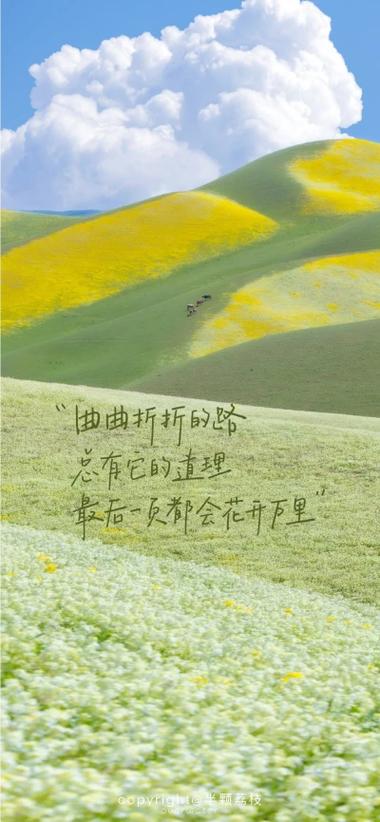 手机壁纸励志文字图片图标