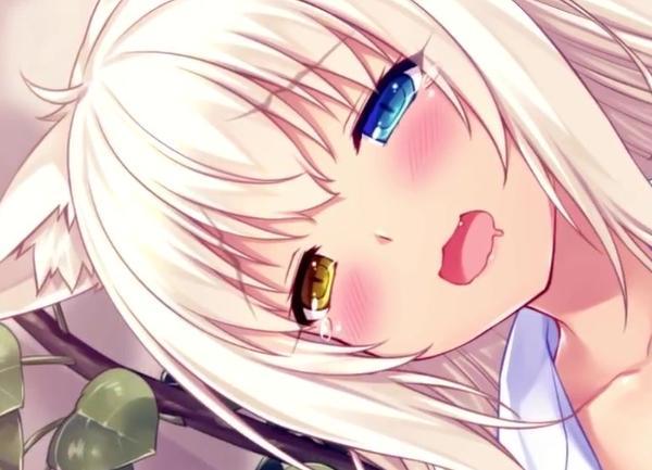 nekopara4补丁前后差别图标