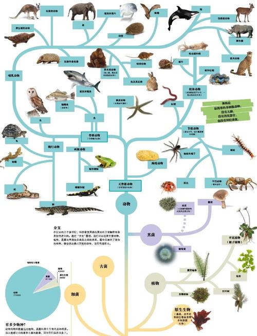 我的世界生物掉落指令图标