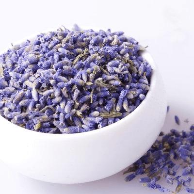 薰衣草 中药图标