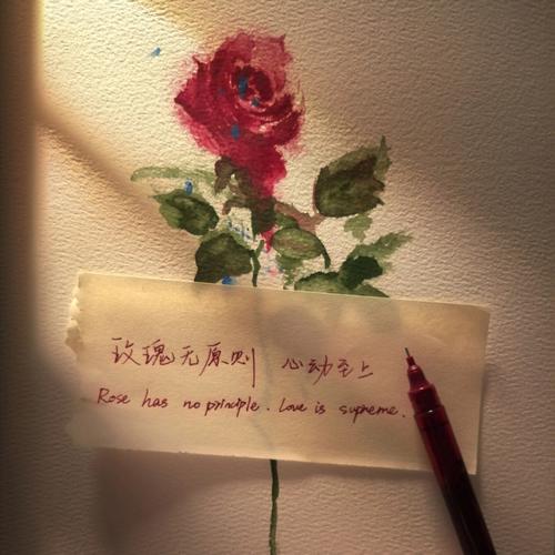 玫瑰无罪心动至上