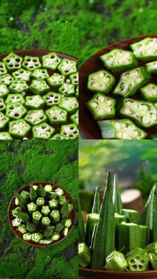 蔬菜切片机器视频图标