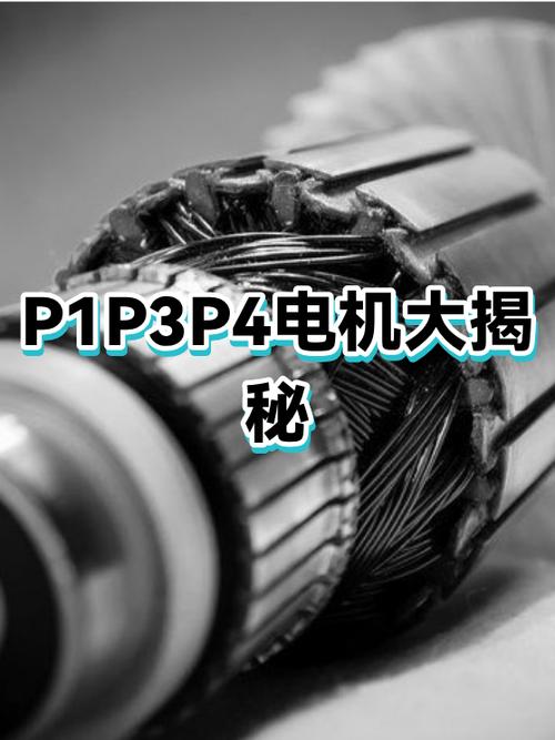 p1p2p3p4电机区别图标