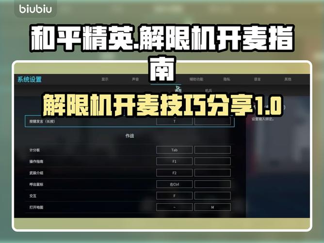 吃鸡开麦有回声怎么回事图标