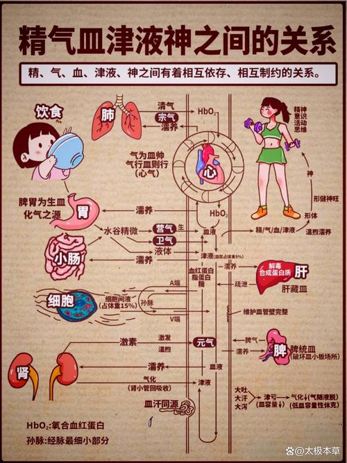 紫阳丹和灵气的关系图标