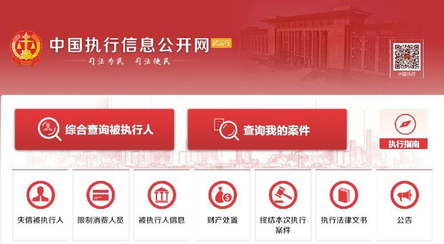 中国执行信息公开网个人查询系统图标
