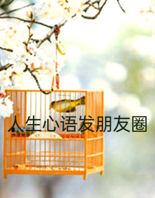 心形图标社交的app图标