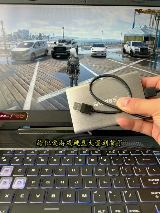 steam移动硬盘装游戏截图