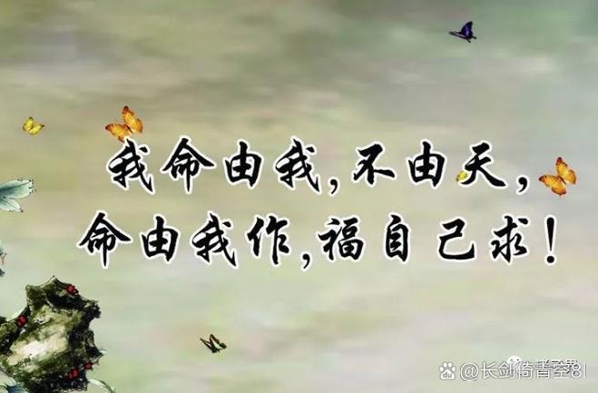 基督徒的四大责任截图