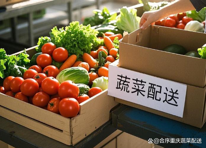 菜亿箩蔬菜配送截图