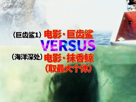 抹香鲸打得过巨齿鲨吗图标