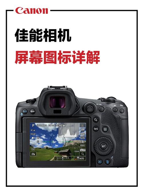佳能相机开机屏幕不亮